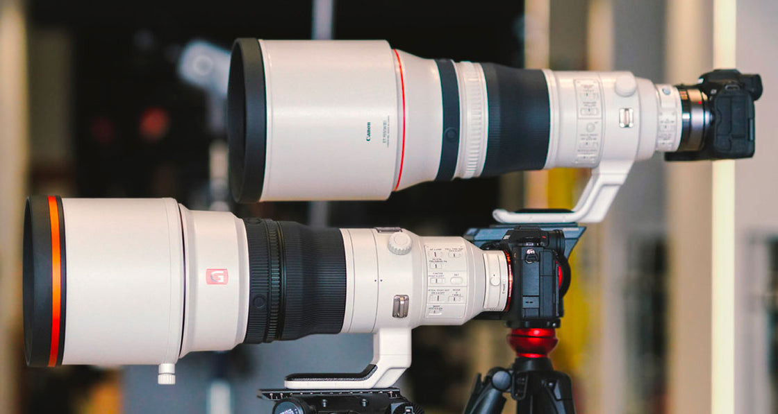 Negozio ufficiale di FotoEma specializzato in fotografia e video ...